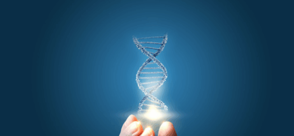 Genetic Testing For Athletes Athlete Blood Test